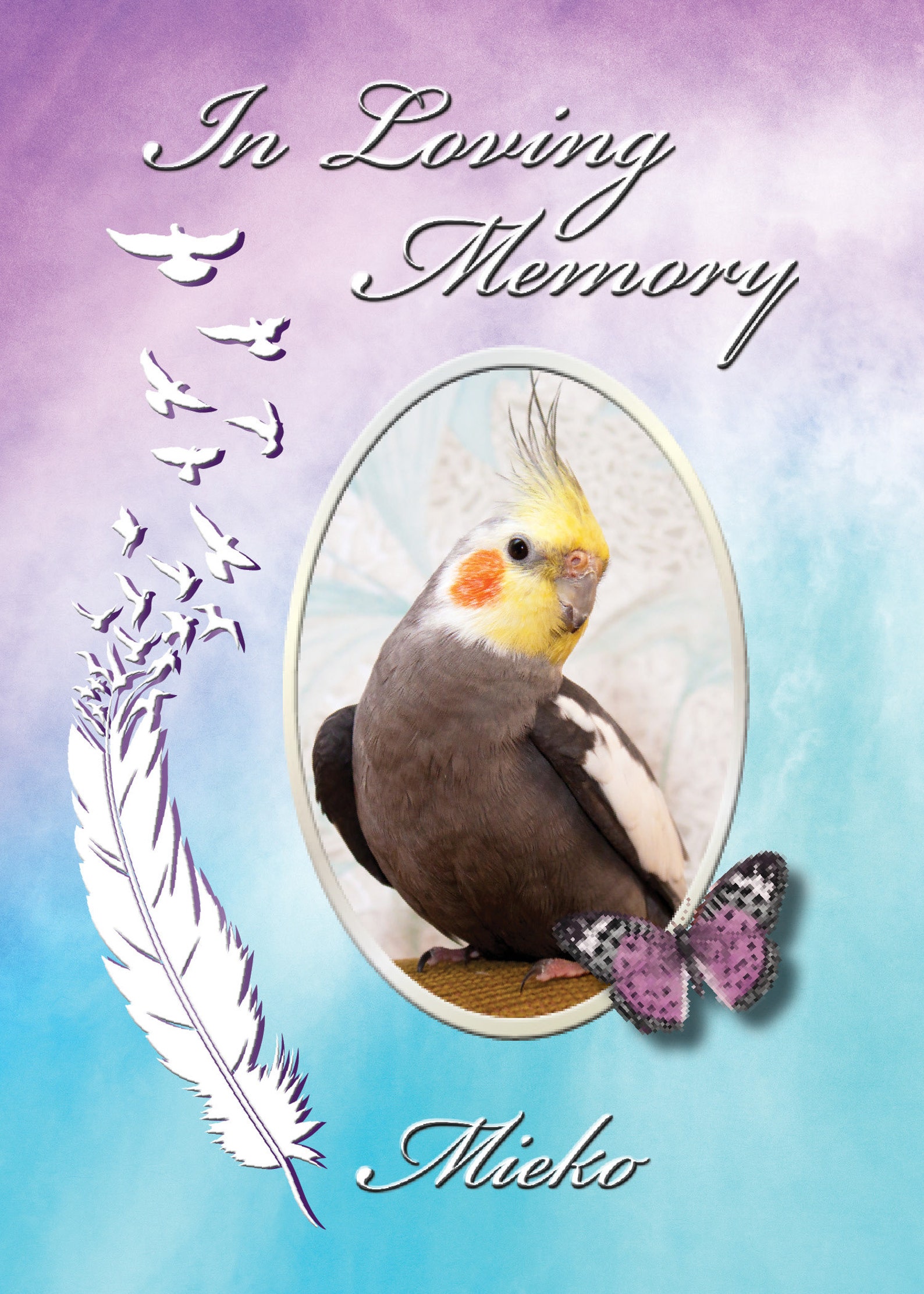 Bird Sympathy Card Bird Sympathy Bird Prints Parakeet Card | Etsy