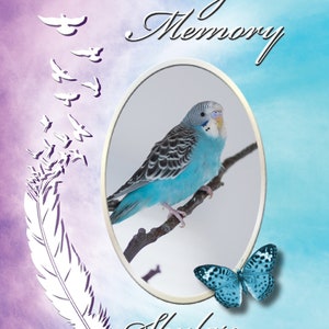 Bird Sympathy Card, Bird Sympathy, Bird Prints, Parakeet Card, Macaw ...