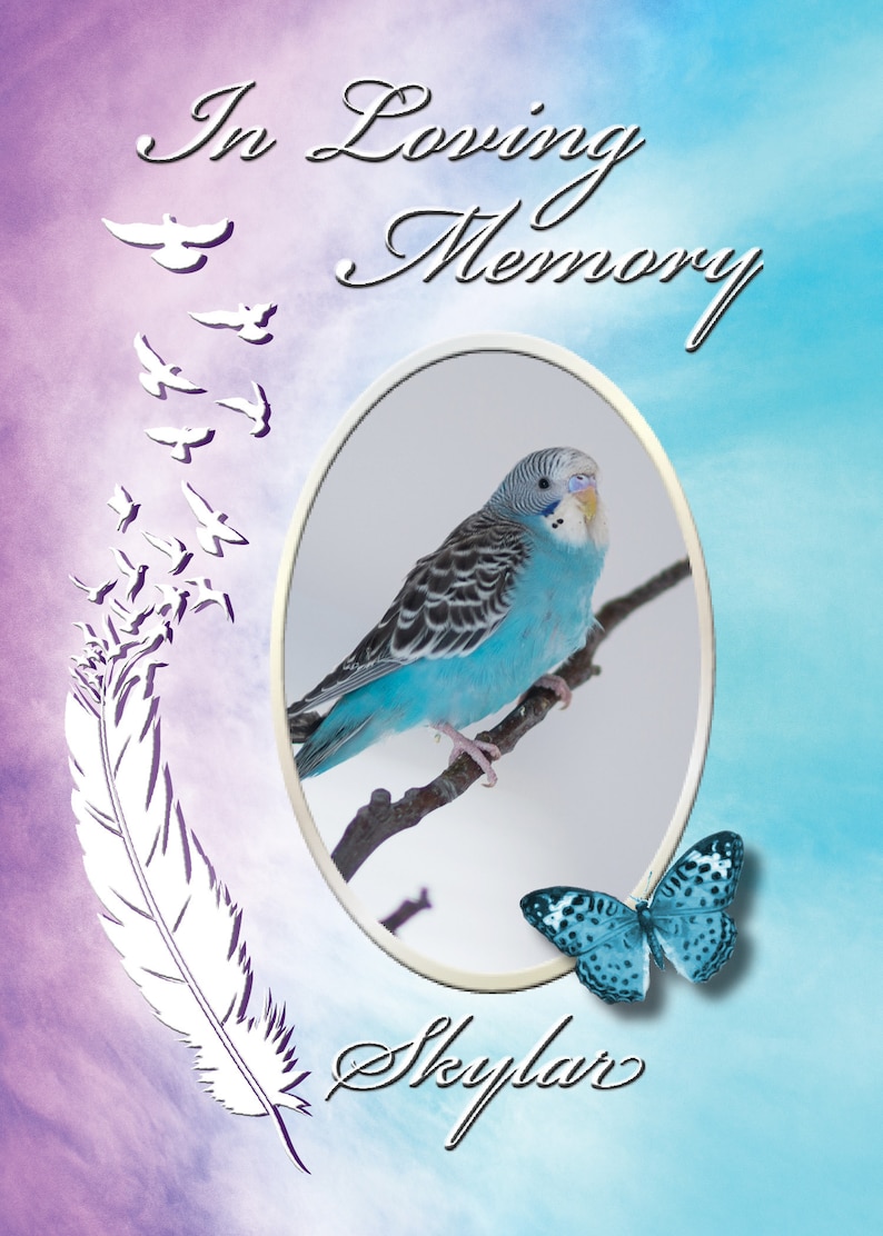 Bird Sympathy Card Bird Sympathy Bird Prints Parakeet Card | Etsy