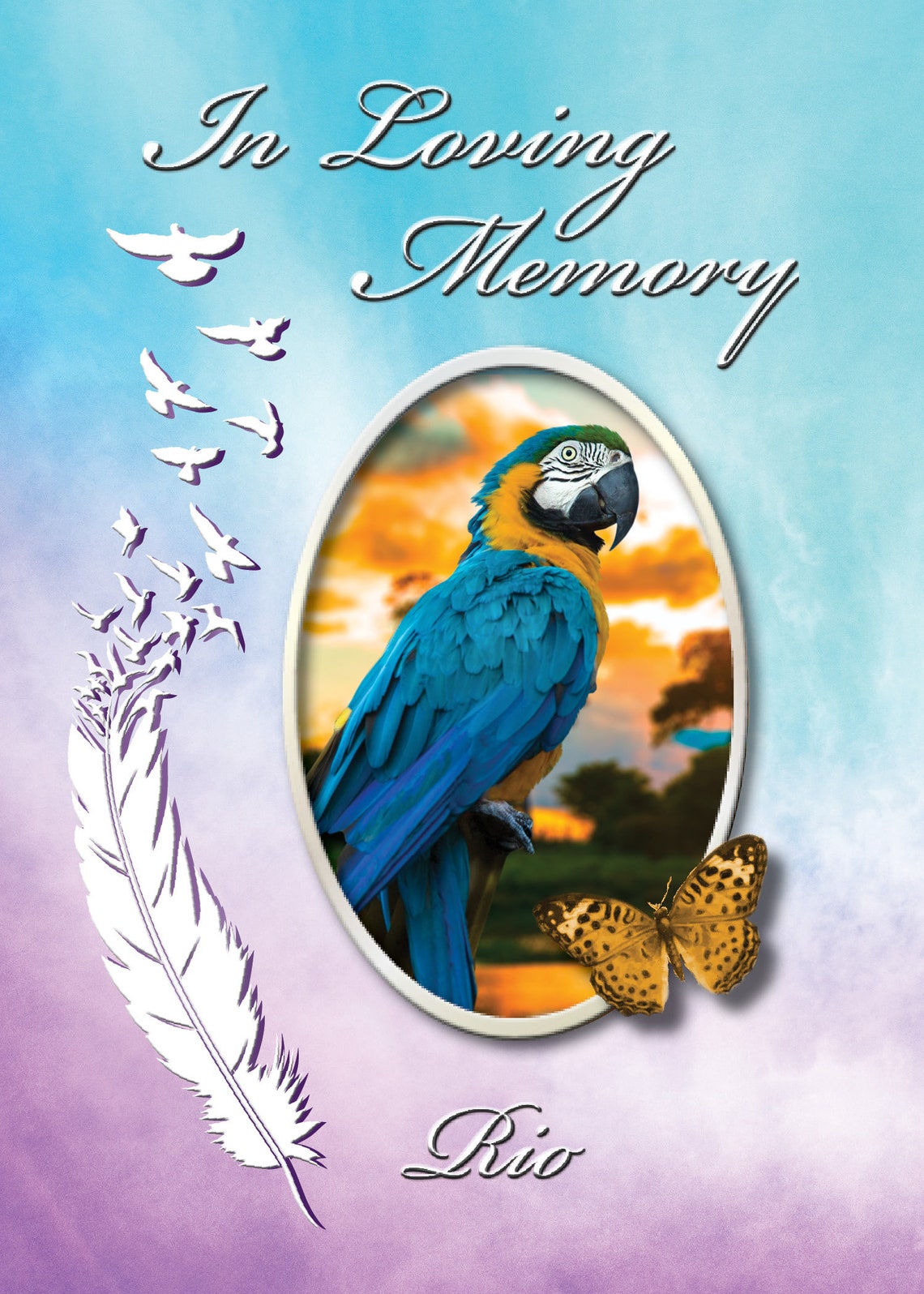 Bird Sympathy Card Bird Sympathy Bird Prints Parakeet Card | Etsy