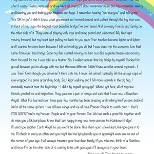 Rainbow Bridge Pet Loss Card: Dog/cat Sympathy Letter (digital Download ...
