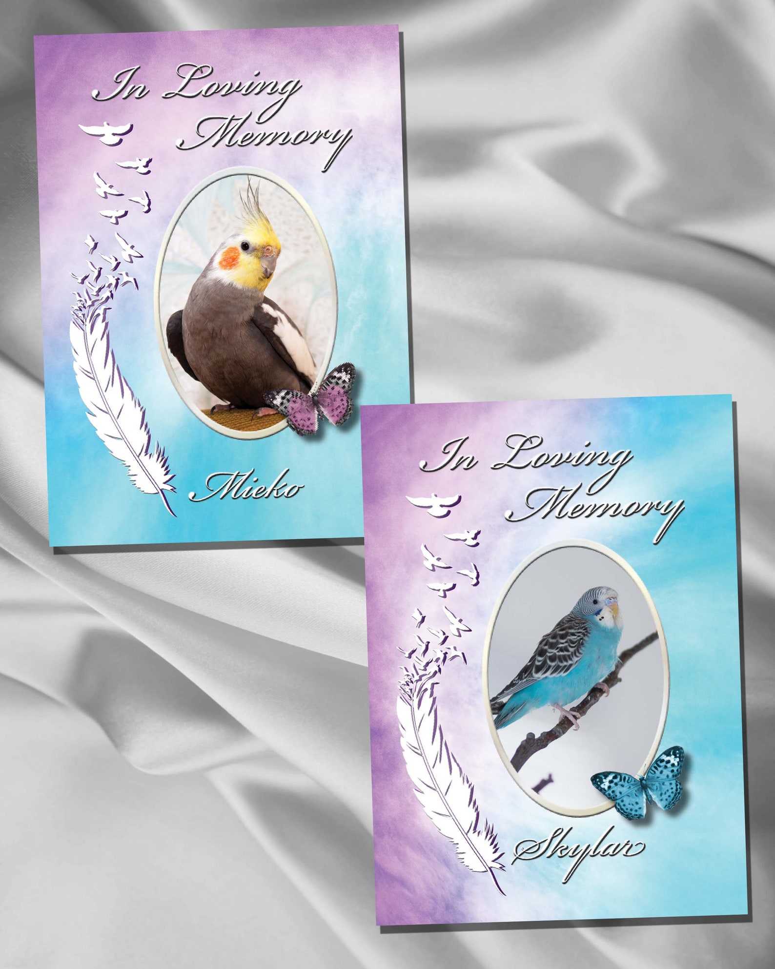 Bird Sympathy Card Bird Sympathy Bird Prints Parakeet Card - Etsy