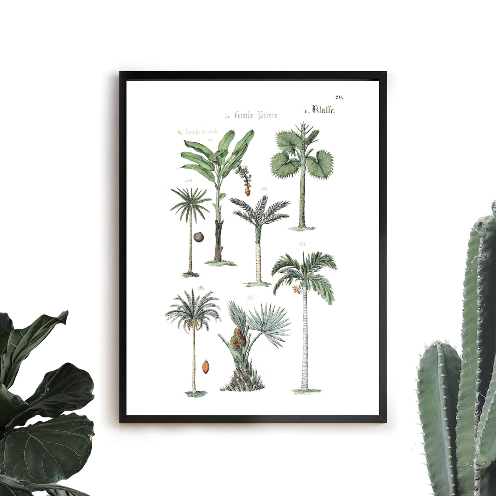 Palm Trees Collage - Vintage Botanical Print - Palm Trees Digital Print ...