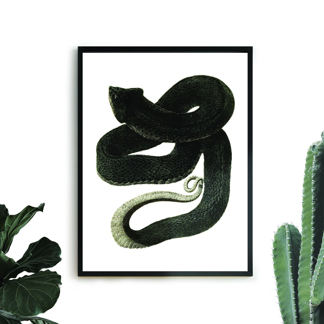 Black Snake - Vintage Animal Print - Snake Digital Print - Etsy