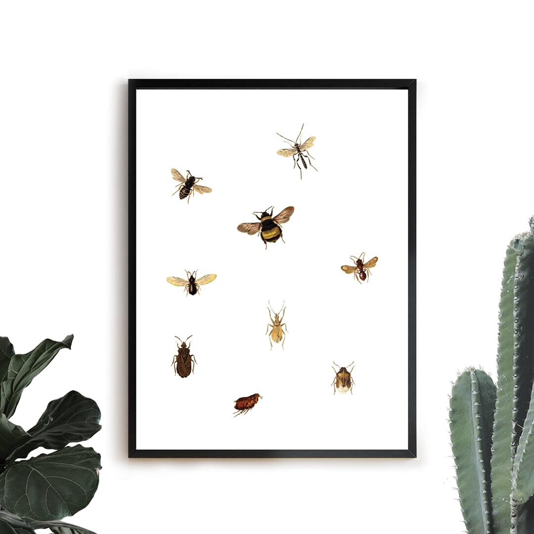 Bees and Insects Collage Vintage Art Print Digital Download - Etsy