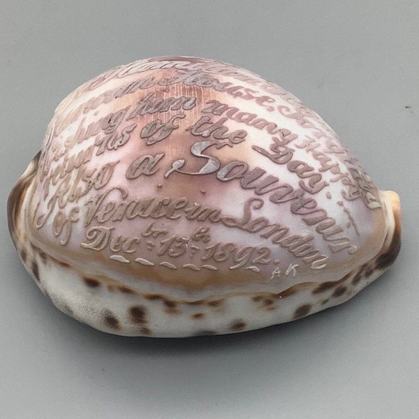 Engraved Shell - Etsy