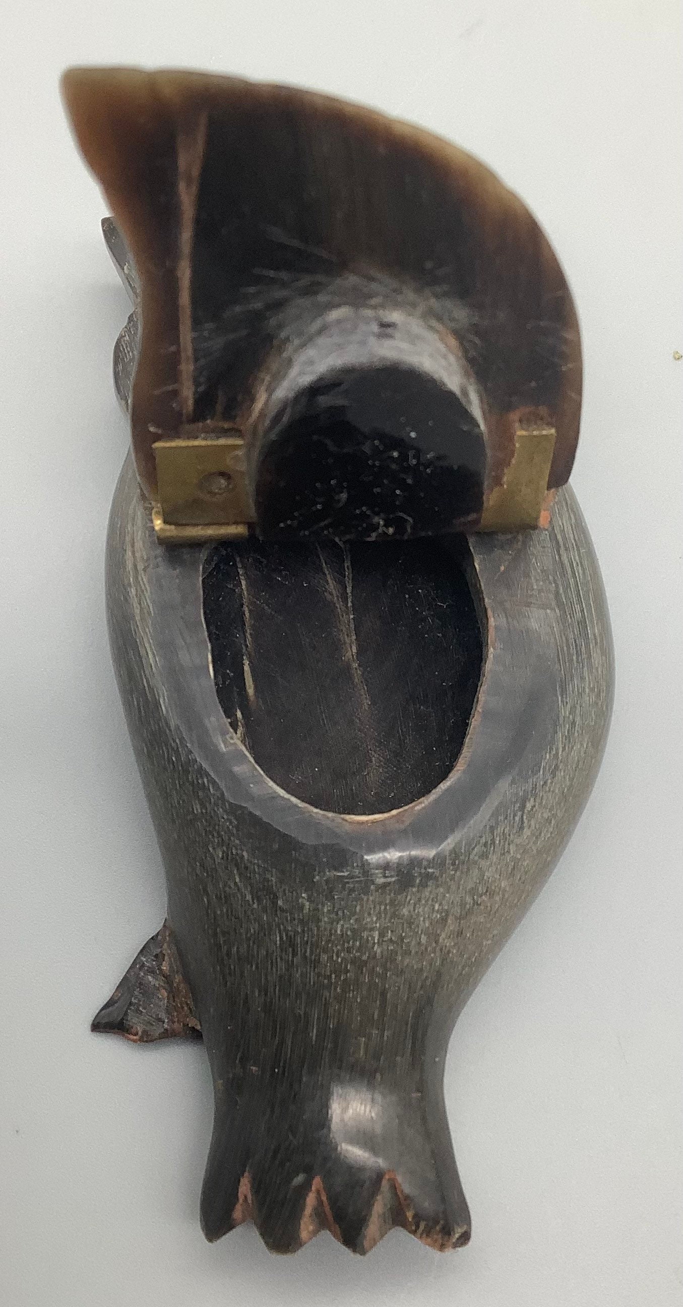 Snuff Box Rare Owl Shaped Horn - Etsy UK