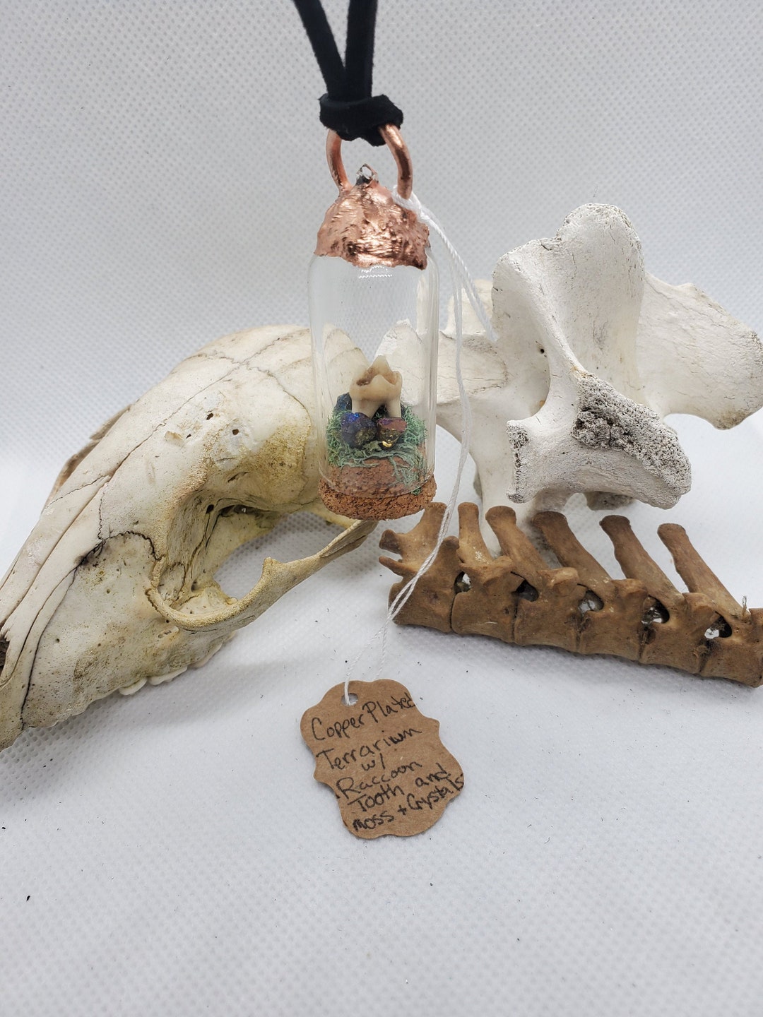 Terrarium Pendant With Tooth - Etsy