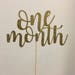One Month Cake Smash Cake One Month Decor 1 Month Old 1 Month Cake ...