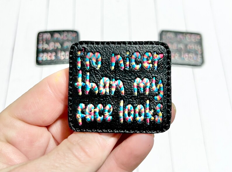 Nicer Than Face Looks Feltie, Funny Humor Feltie Embellishment, My Face ...