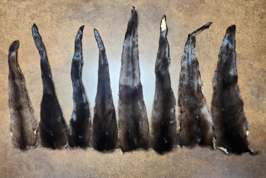 Tanned Otter Fur Tails - Etsy