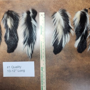 Tanned Skunk Tail 1 QUALITY. - Etsy