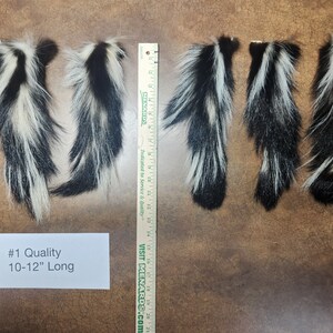 Tanned Skunk Tail 1 QUALITY. - Etsy