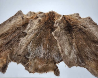 Fur Pelt Sizes