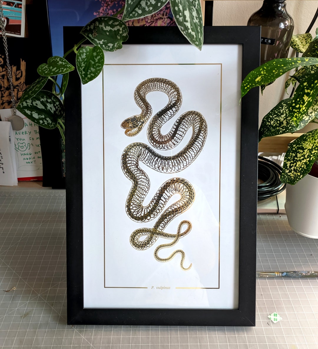 Gold Foil Snake X-ray/cage Poster - 8.5x14" - Etsy