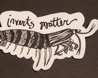 Mantis Shrimp - Etsy