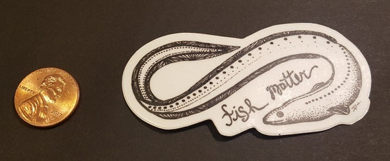 American Eel Sticker small | Etsy