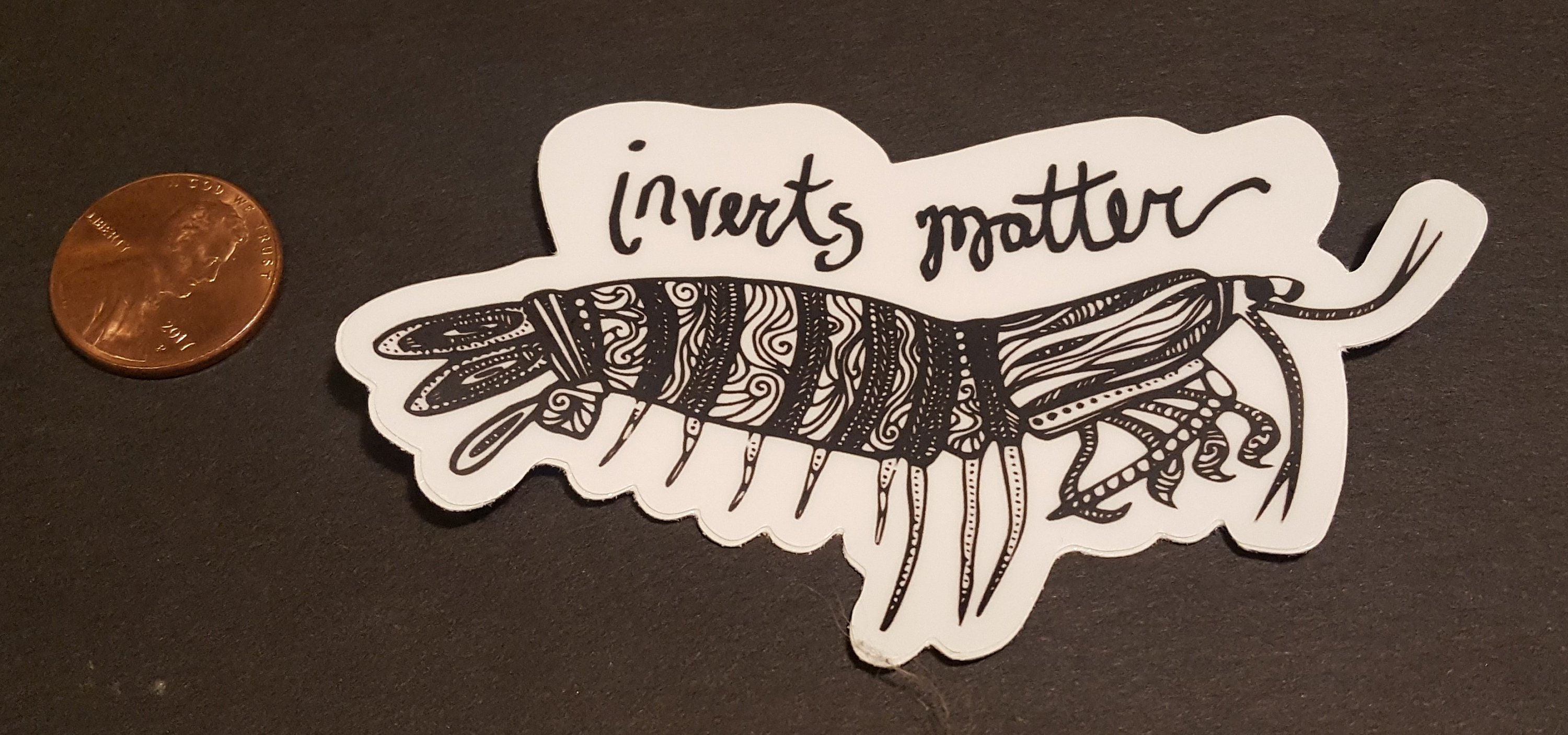 Mantis Shrimp Sticker - Etsy