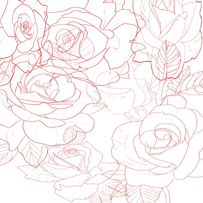 40 Hand Drawn Roses Procreate Brush Set 60 Brushes Total - Etsy