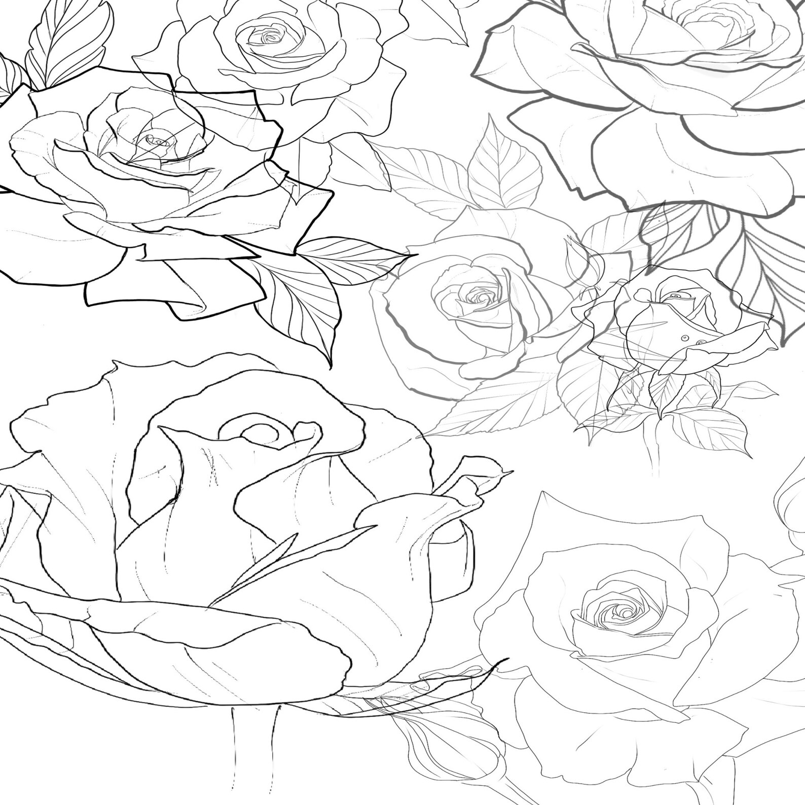 40 Hand Drawn Roses Procreate Brush Set 60 Brushes Total | Etsy