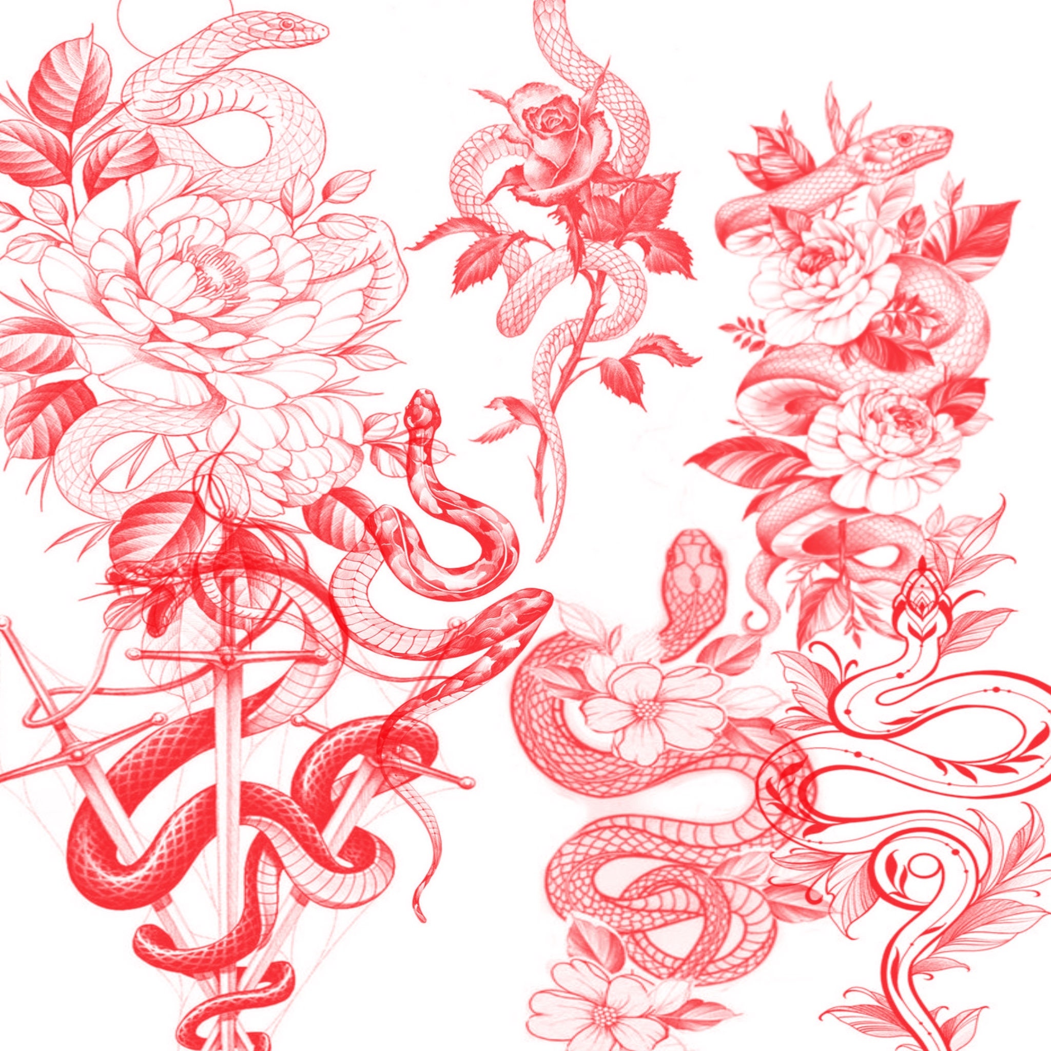 65 Snake Procreate Brushes Tattoo Procreate Brush Set - Etsy