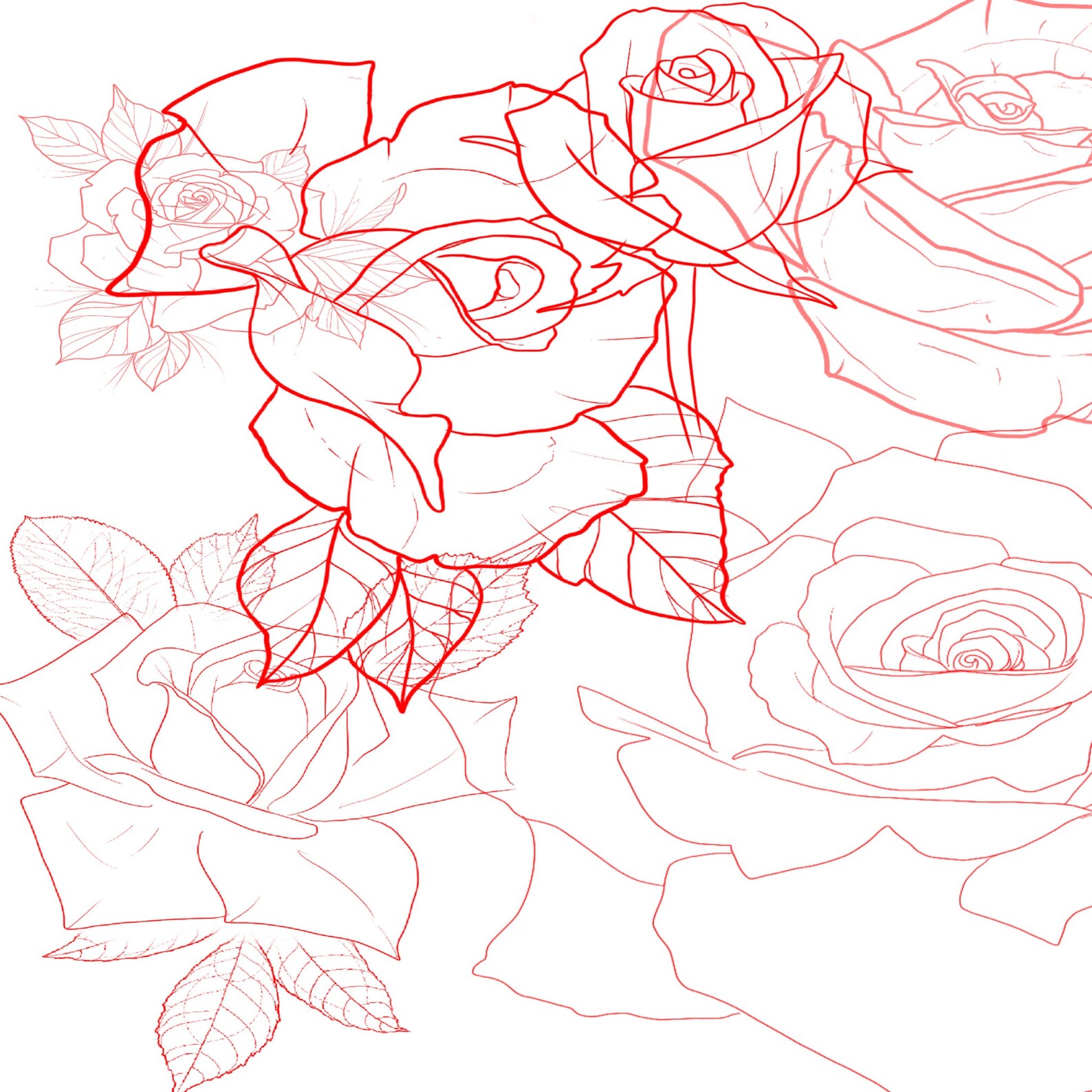 40 Hand Drawn Roses Procreate Brush Set 60 Brushes Total | Etsy