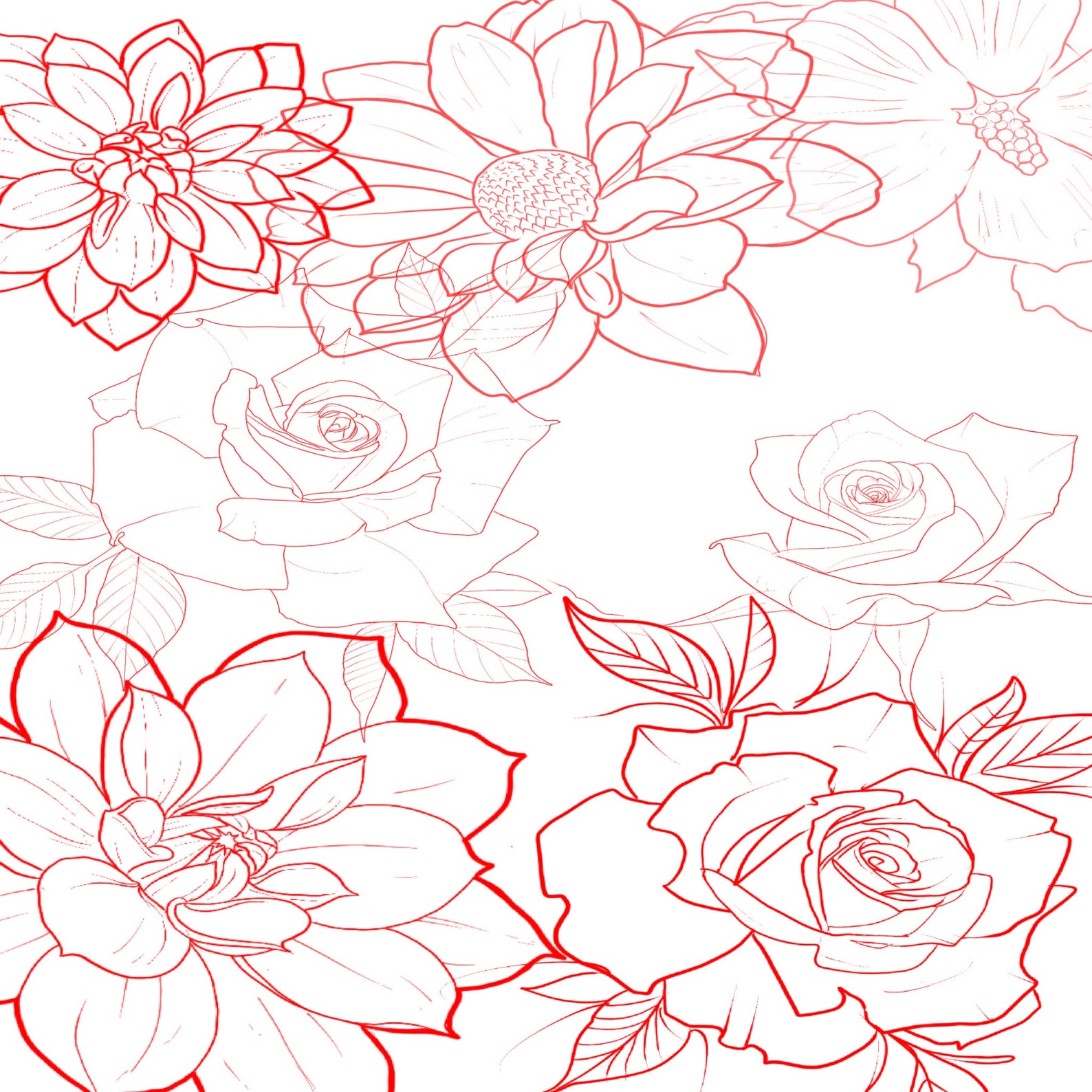 40 Hand Drawn Roses Procreate Brush Set 60 Brushes Total | Etsy
