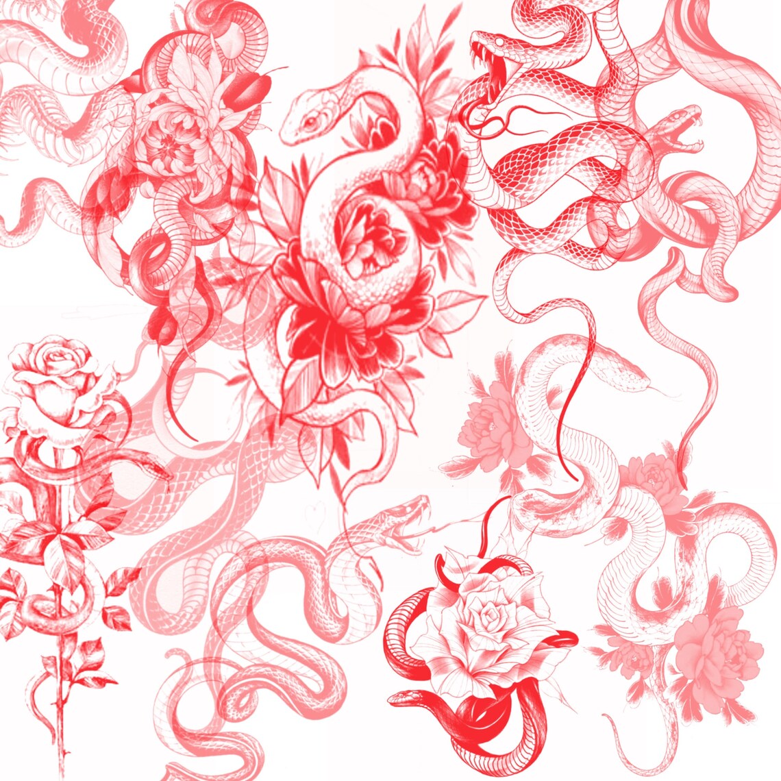 65 Snake Procreate Brushes Tattoo Procreate Brush Set - Etsy