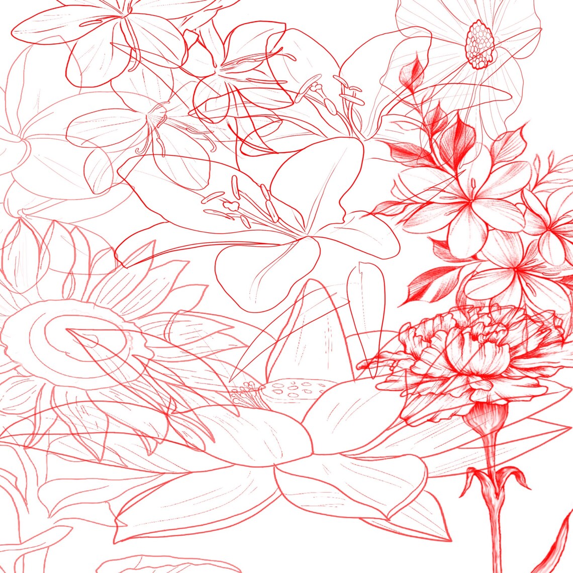 40 Hand Drawn Roses Procreate Brush Set 60 Brushes Total - Etsy