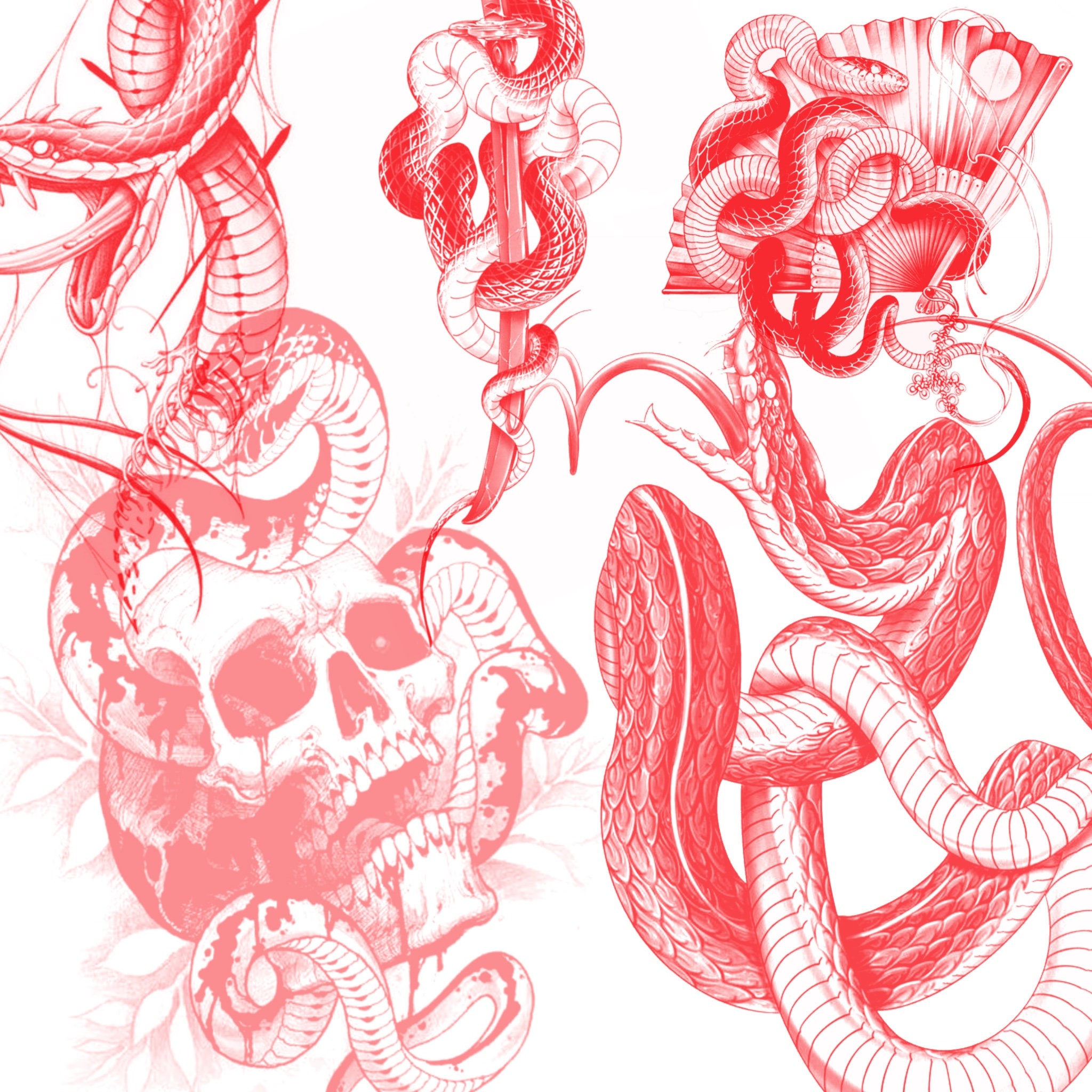 65 Snake Procreate Brushes Tattoo Procreate Brush Set - Etsy
