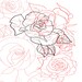 40 Hand Drawn Roses Procreate Brush Set 60 Brushes Total - Etsy