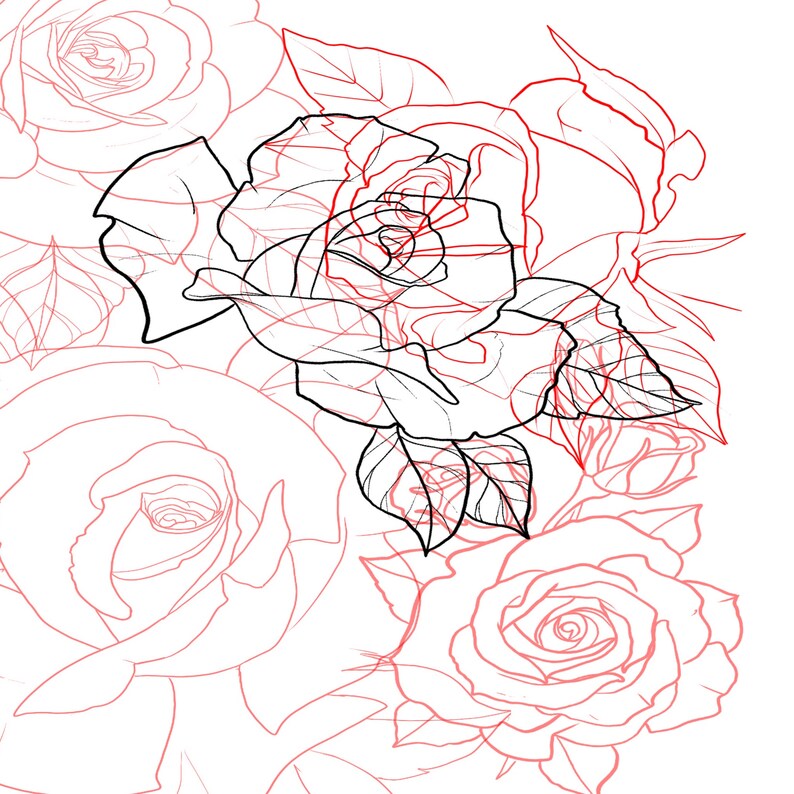 40 Hand Drawn Roses Procreate Brush Set 60 Brushes Total - Etsy