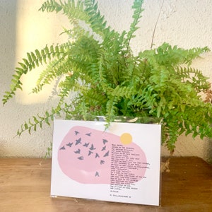 Starlings Pink Typewriter Poem Print, A6, A5, A4, A3, Original Poem ...