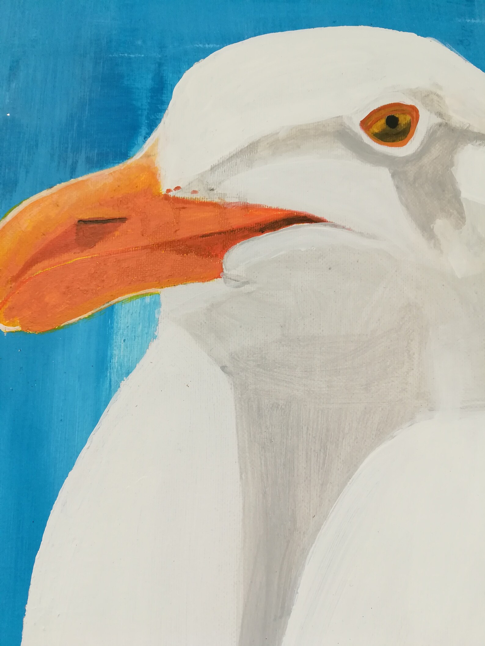 Seagull Painting Bird Art Original on Canvas 12x16'' | Etsy