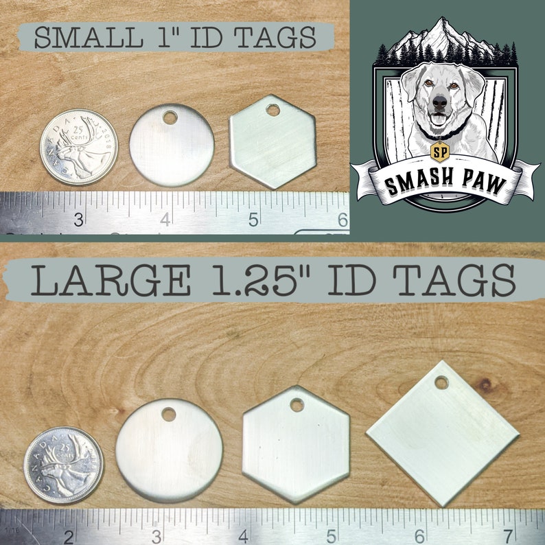 Pet ID Tag - Raccoon and Mushrooms - Dog Tag for Dogs - Pet Tag - Hand ...