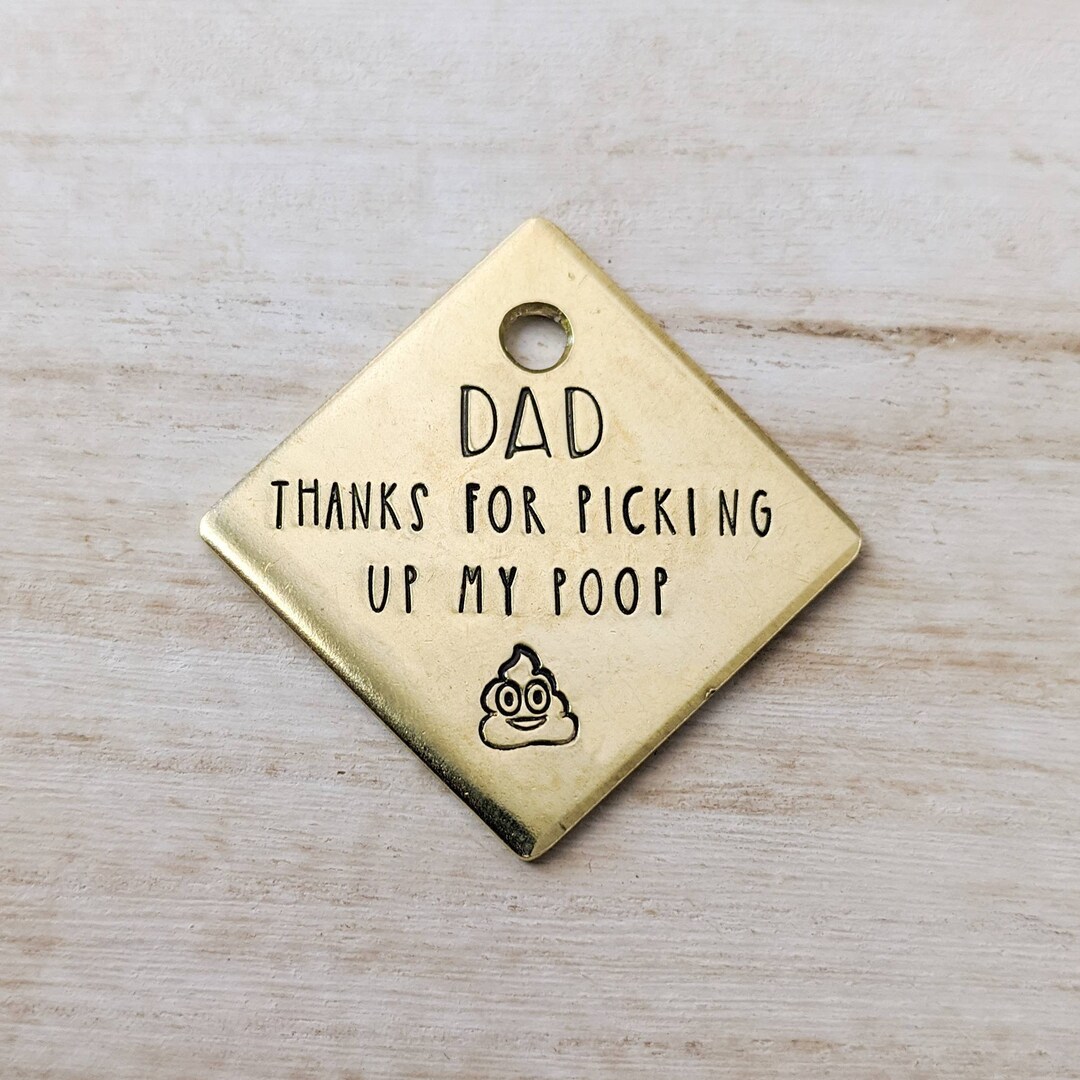 Dad, Thanks for Picking up My Poop - Keychain - Hand Stamped ...