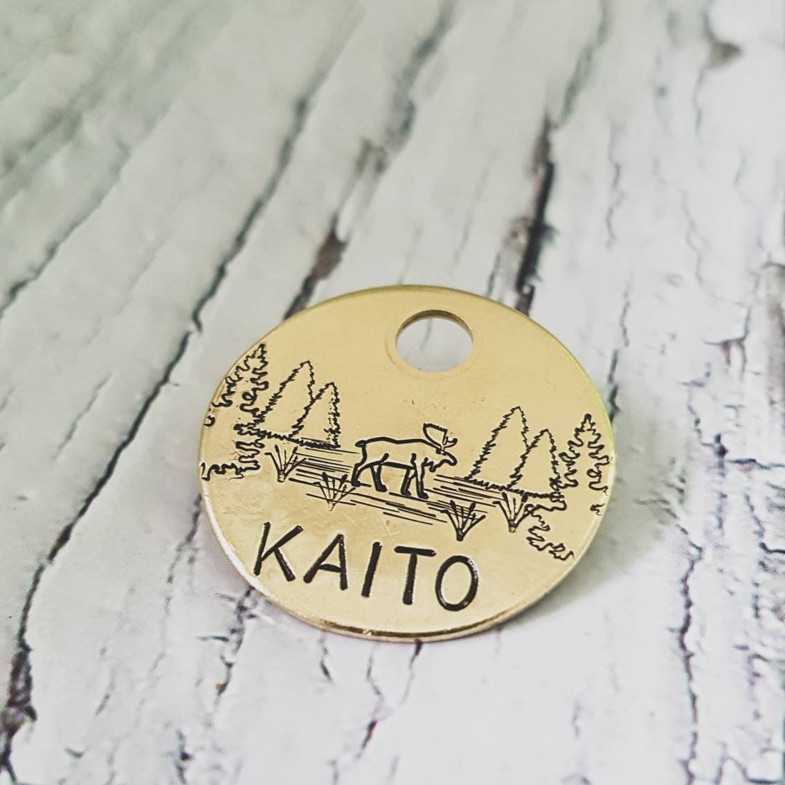 Moose Lake - Pet ID Tag - Dog Tag for Dogs - Pet Name Tag - Hand ...
