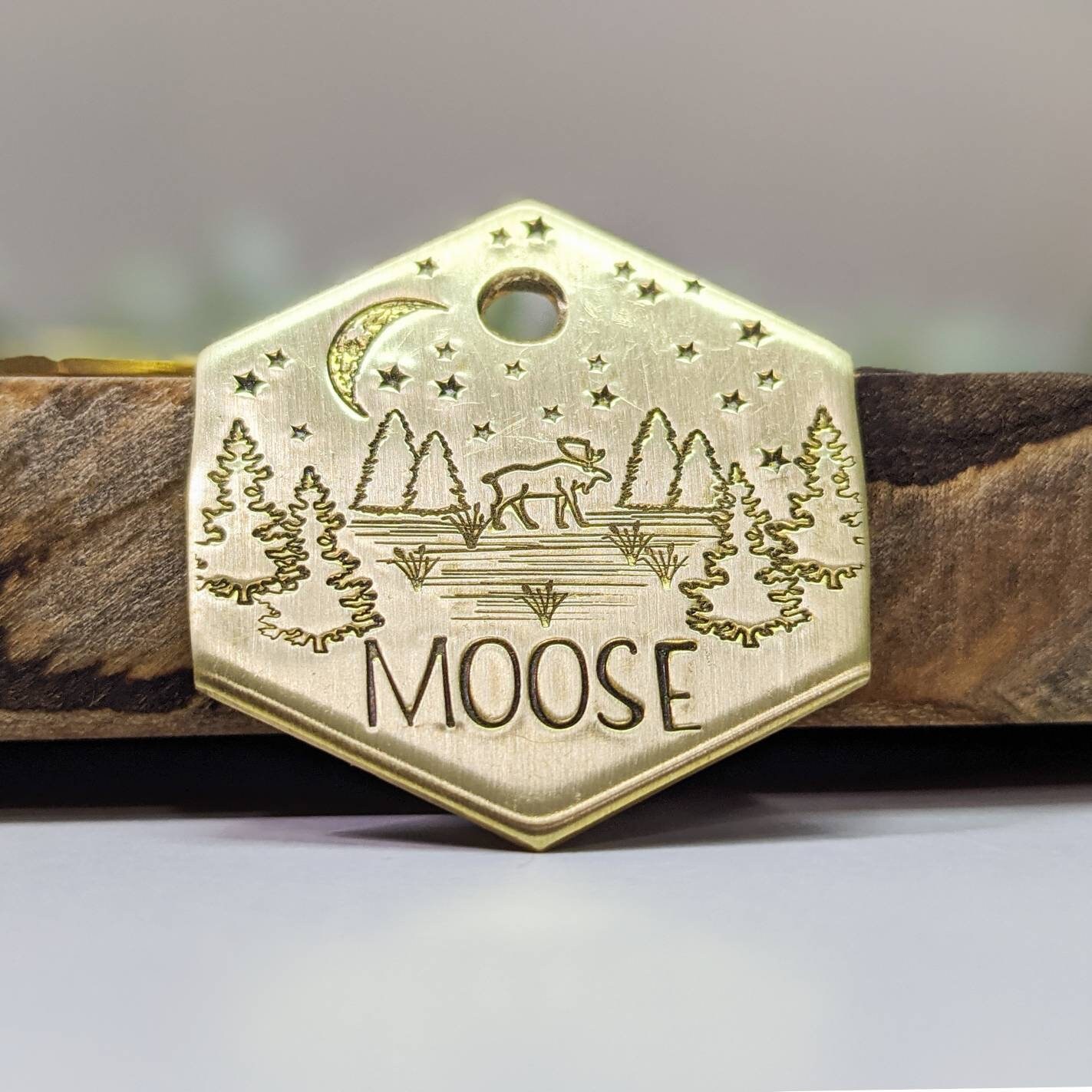 Moose Lake - Pet ID Tag - Dog Tag for Dogs - Pet Name Tag - Hand ...