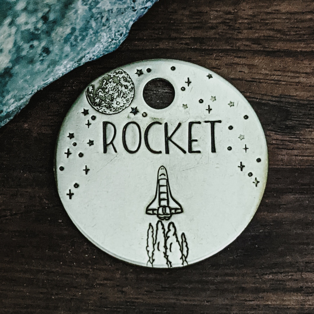 Space Shuttle - Pet ID Tag - Dog Tag for Dogs - Pet Name Tag - Hand ...