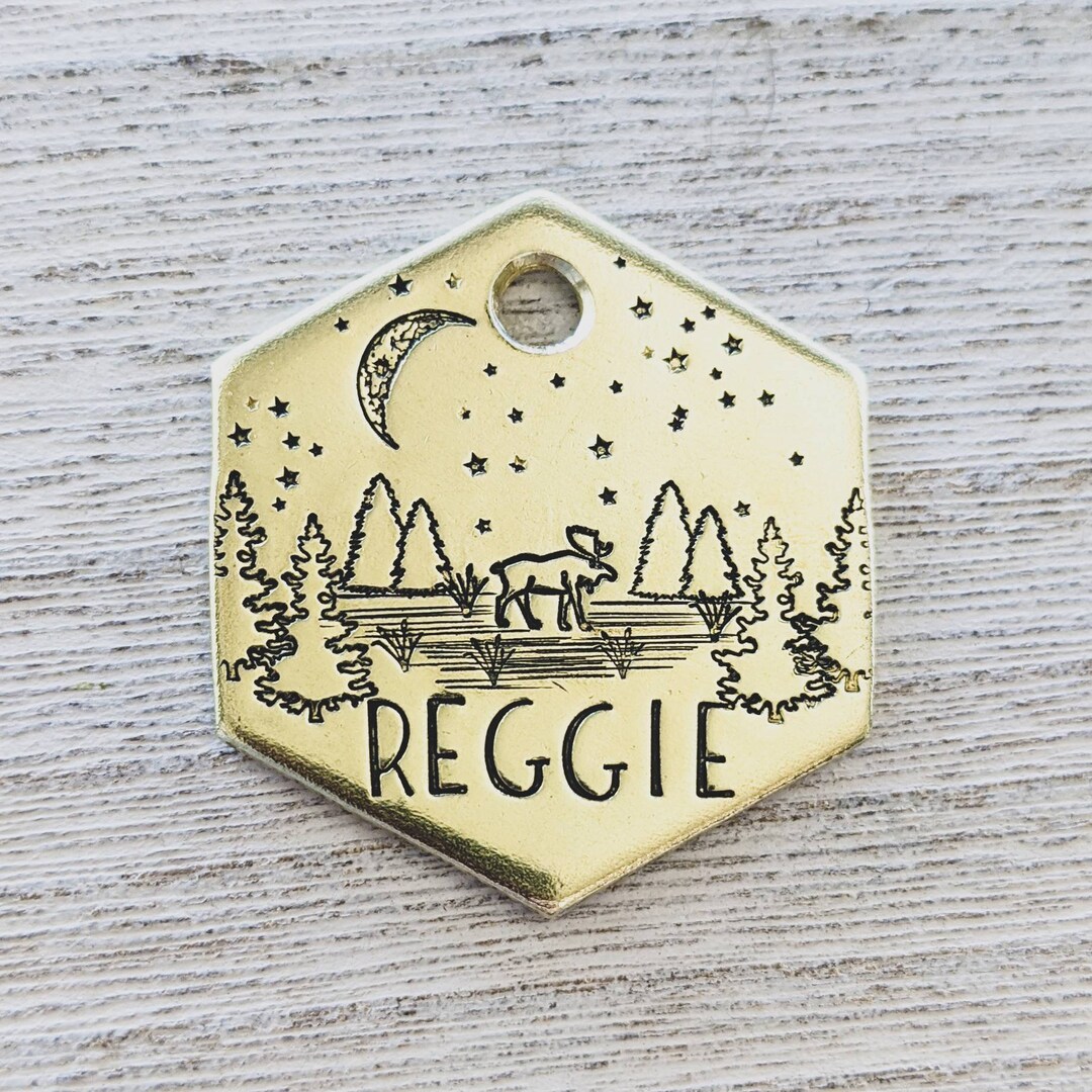 Moose Lake - Pet ID Tag - Dog Tag for Dogs - Pet Name Tag - Hand ...