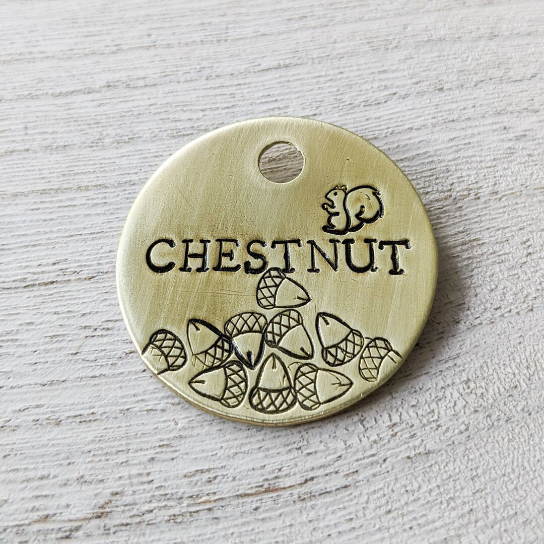 I'm Nut's for Fall - Pet ID Tag - Dog Tag for Dogs - Pet Name Tag ...