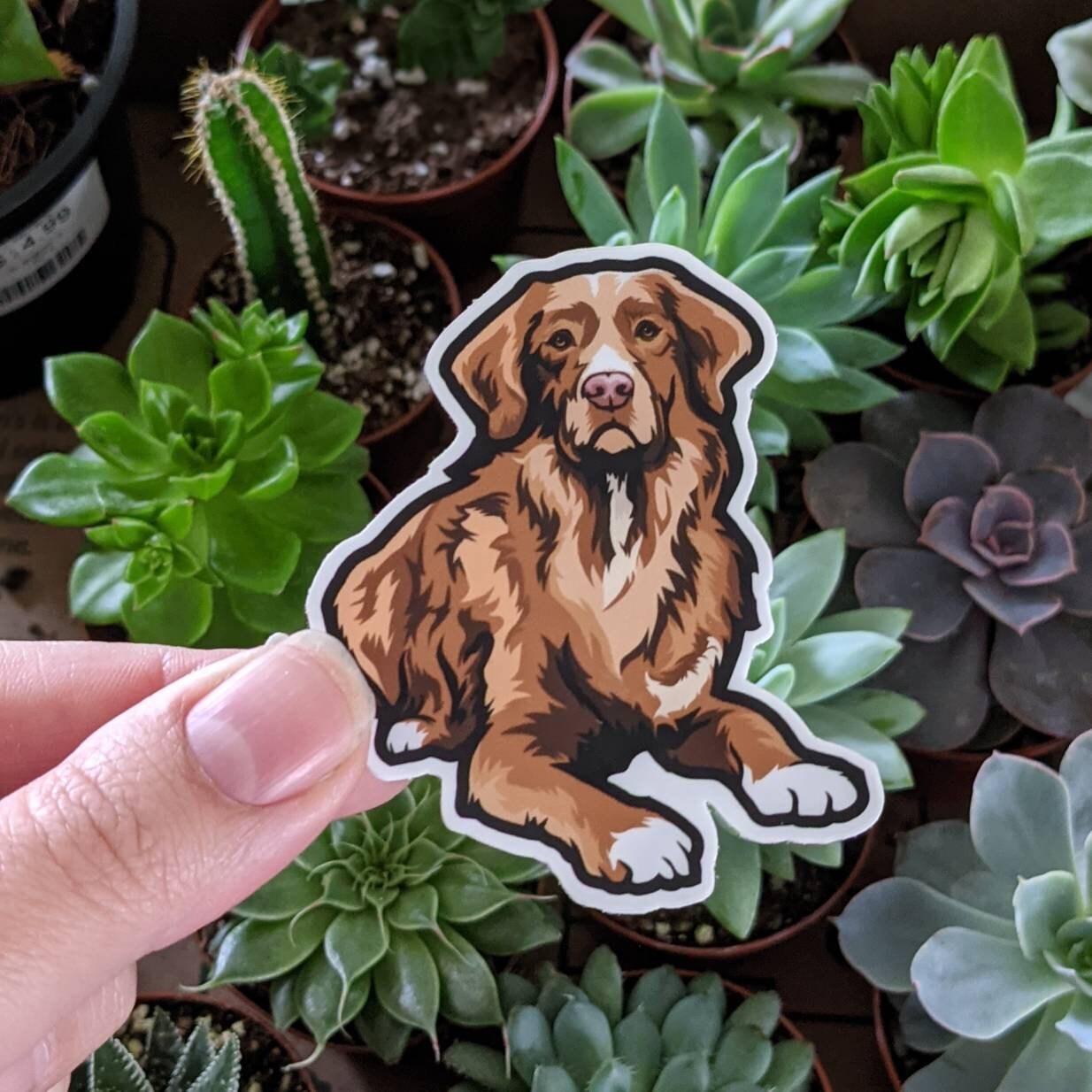 Nova Scotia Duck Tolling Retriever - Sticker - Etsy