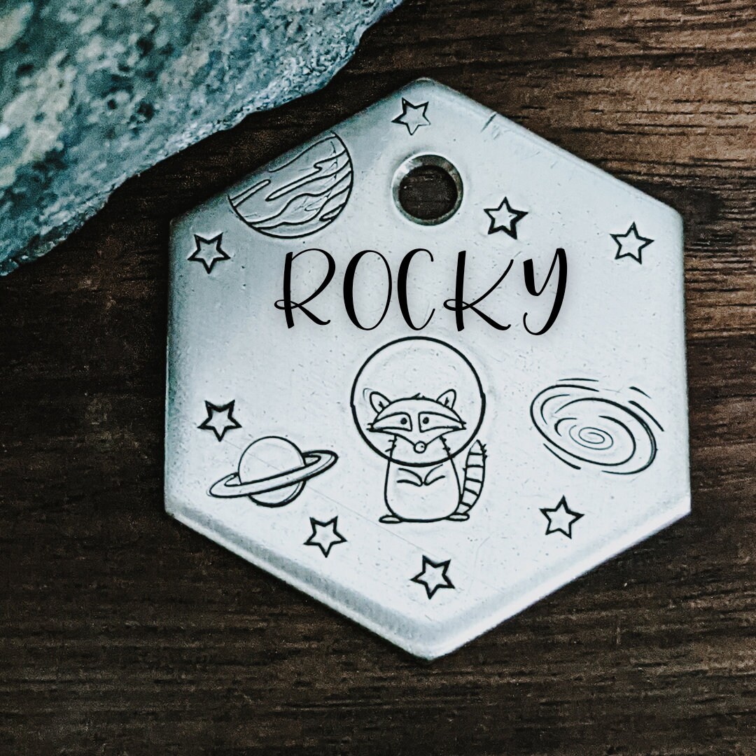 Pet ID Tag - Space Raccoon - Dog Tag for Dogs - Pet Name Tag - Hand ...