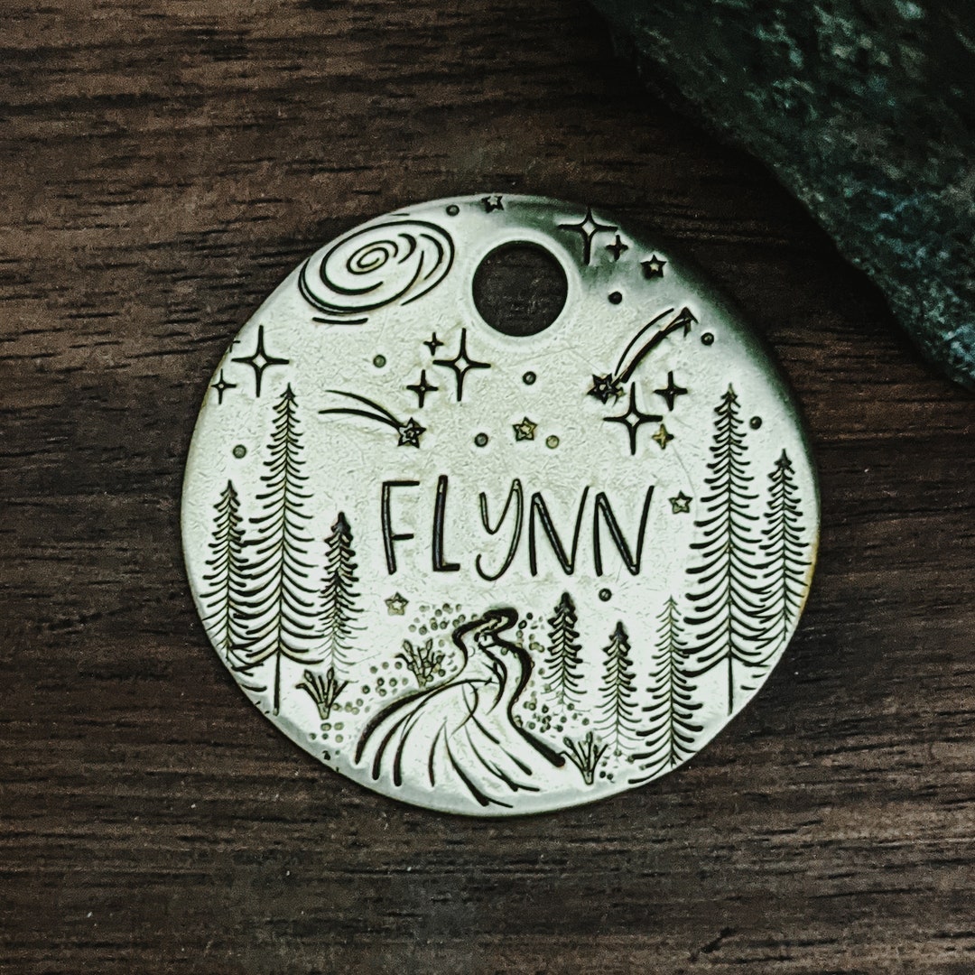 Shooting Stars - Pet ID Tag - Dog Tag for Dogs - Pet Name Tag - Hand ...