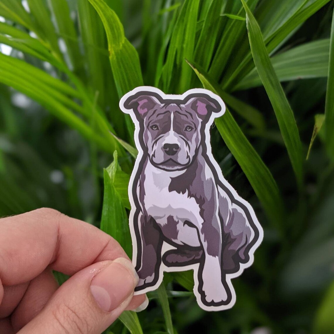 Pitbull Sticker - Etsy Canada