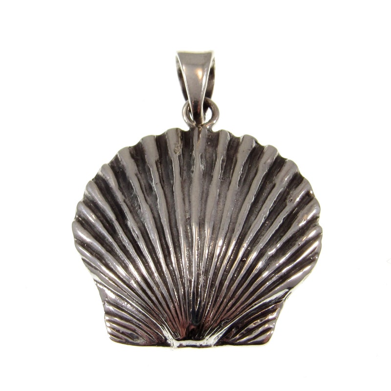 Sea Shell Pendant - Etsy