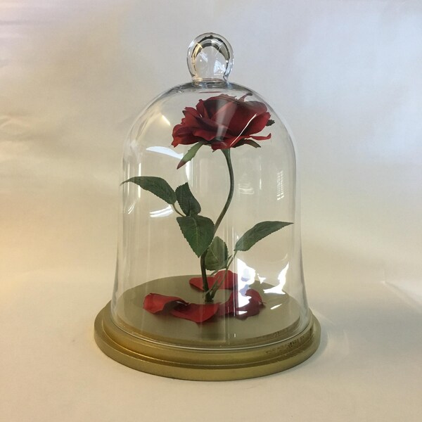 Enchanted Rose - Etsy
