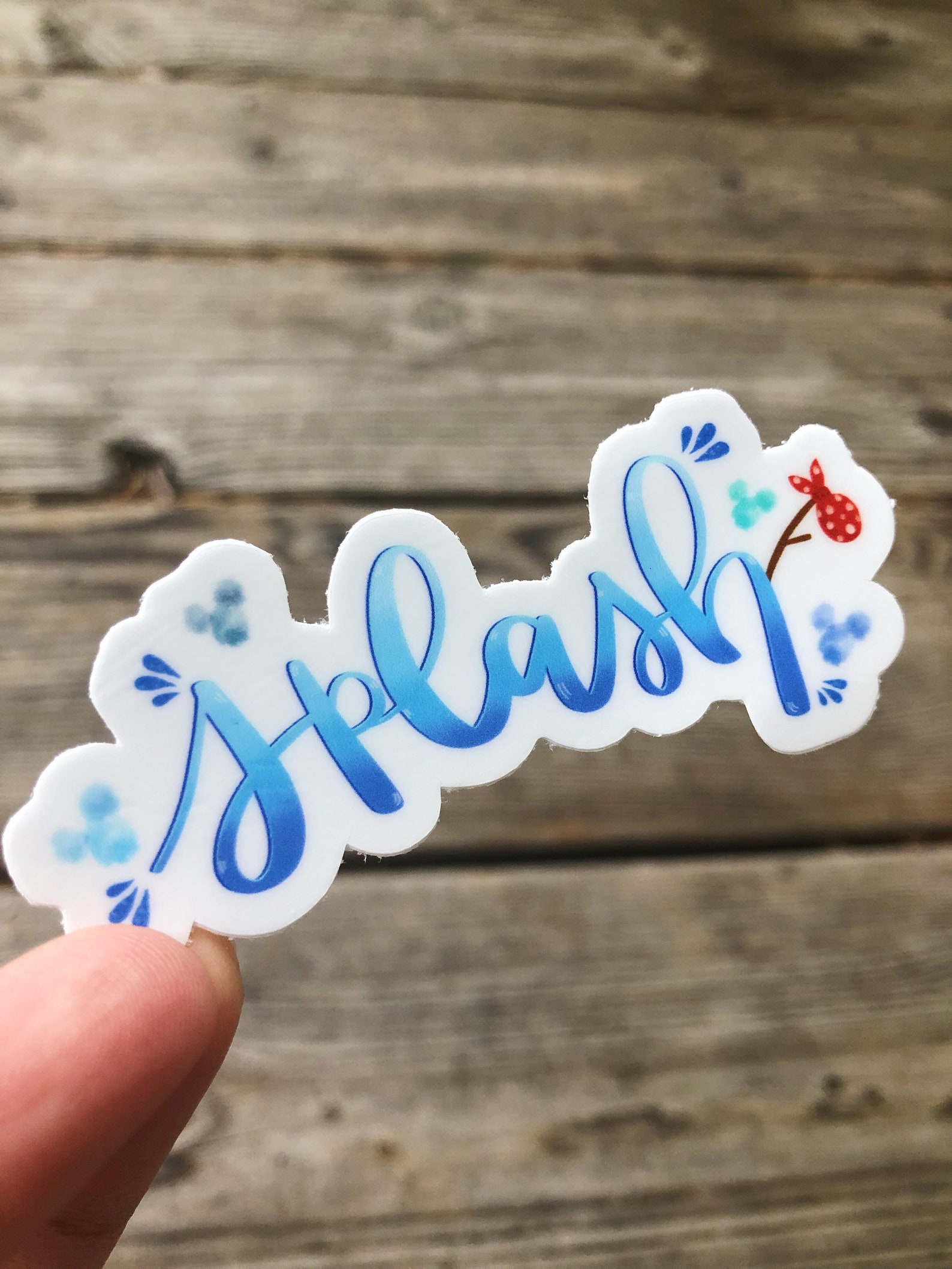 Splash Mountain Sticker / Disney Decal / Disneyland Sticker / | Etsy