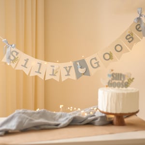 Silly Goose Baby Shower Banner, Goose Baby Shower Decorations - Etsy