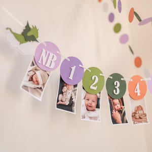 Dragon Monthly Banner, Fantasy Birthday Decorations, Mythical Creatures ...